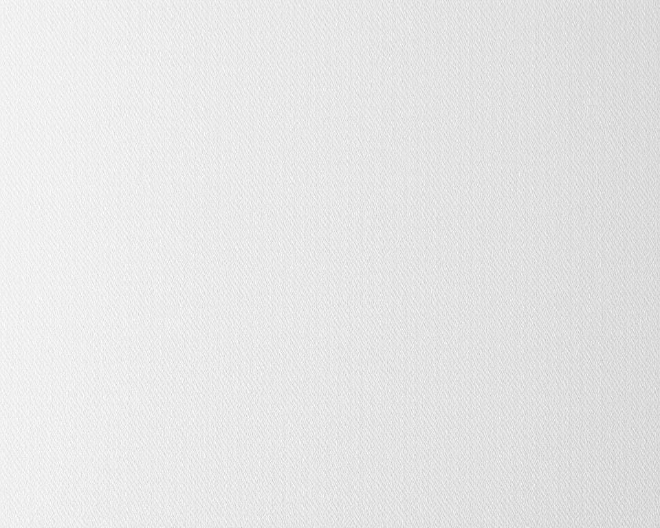 Unsere Premium Canvas – Perfekte Basis für dein Bild | EVO Portal